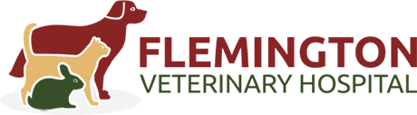 Animal Hospital Facilities at Flemington Veterinary Hospital